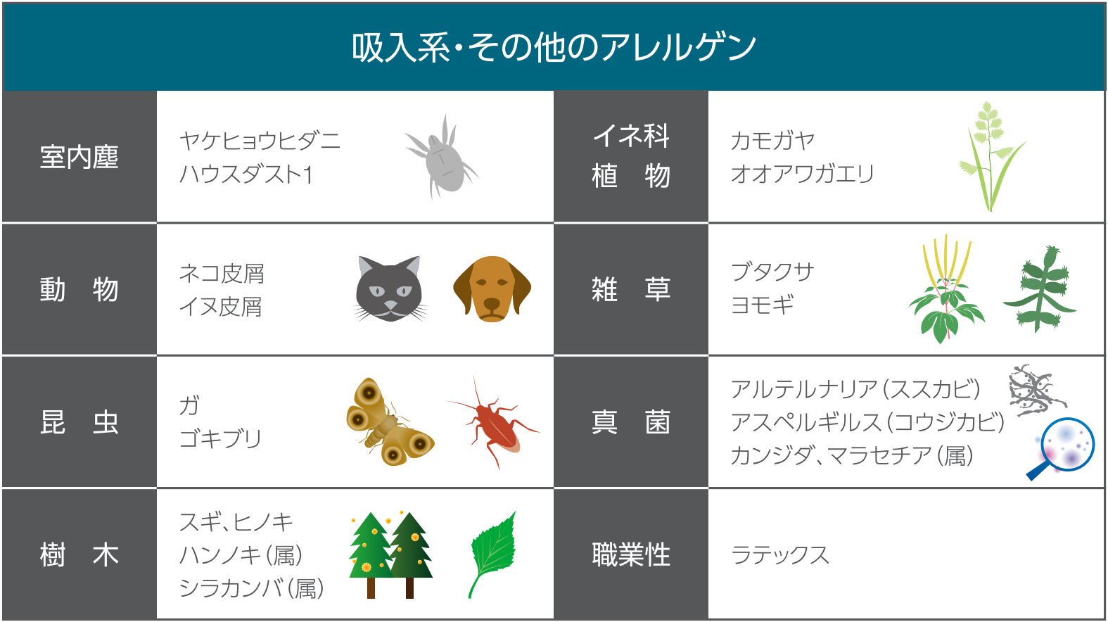 『View39』39種類のアレルギー検査のご案内 - medock 総合健診クリニック