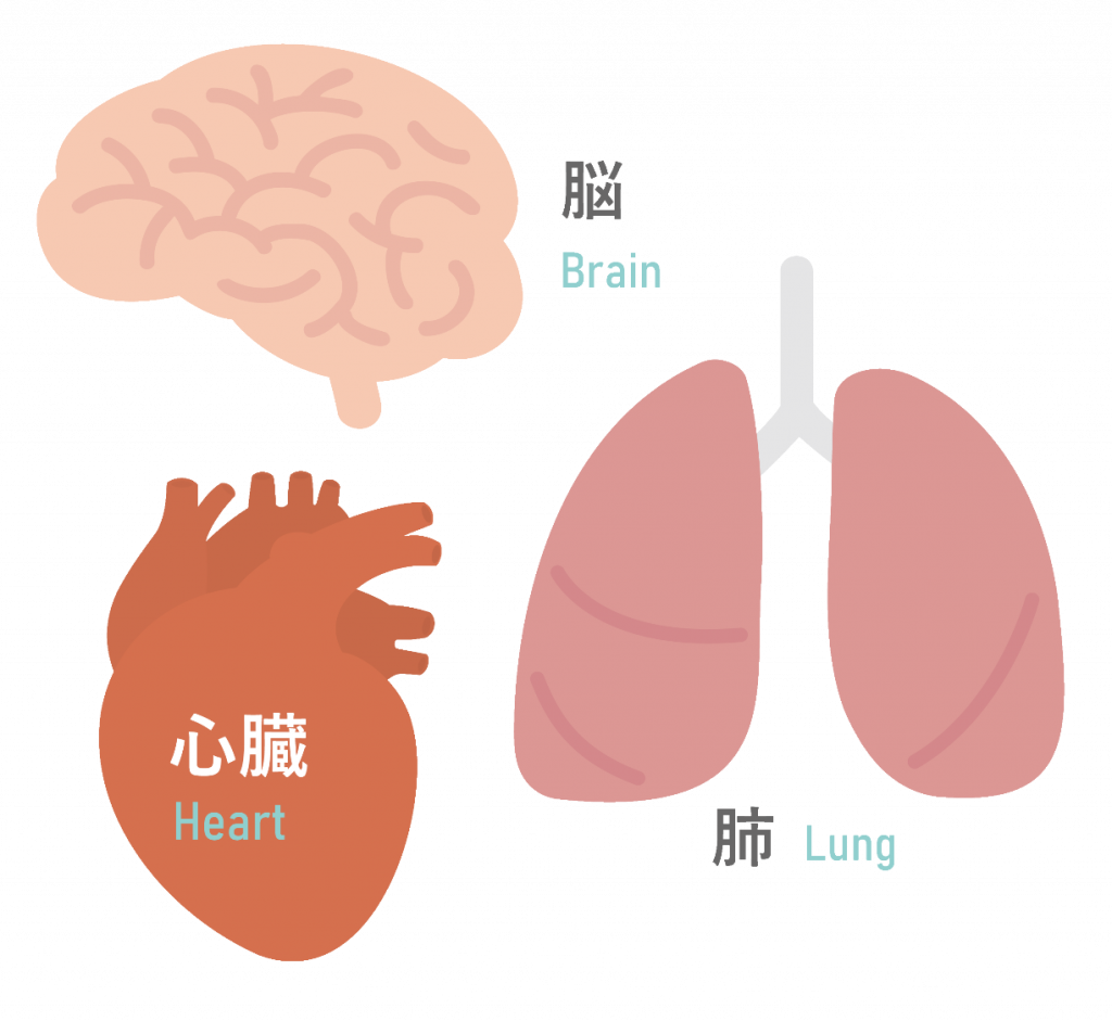 medockコラム『人間ドック・生活習慣病予防健診だけで大丈夫？』 - medock 総合健診クリニック