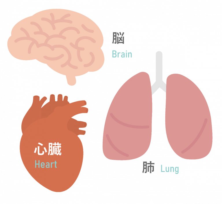 medockコラム『人間ドック・生活習慣病予防健診だけで大丈夫？』 - medock 総合健診クリニック
